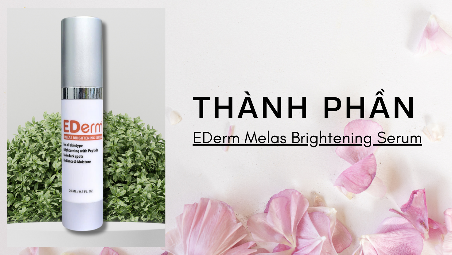 Giải mã bảng thành phần "vàng" của EDerm Melas Brightening Serum - EDERM